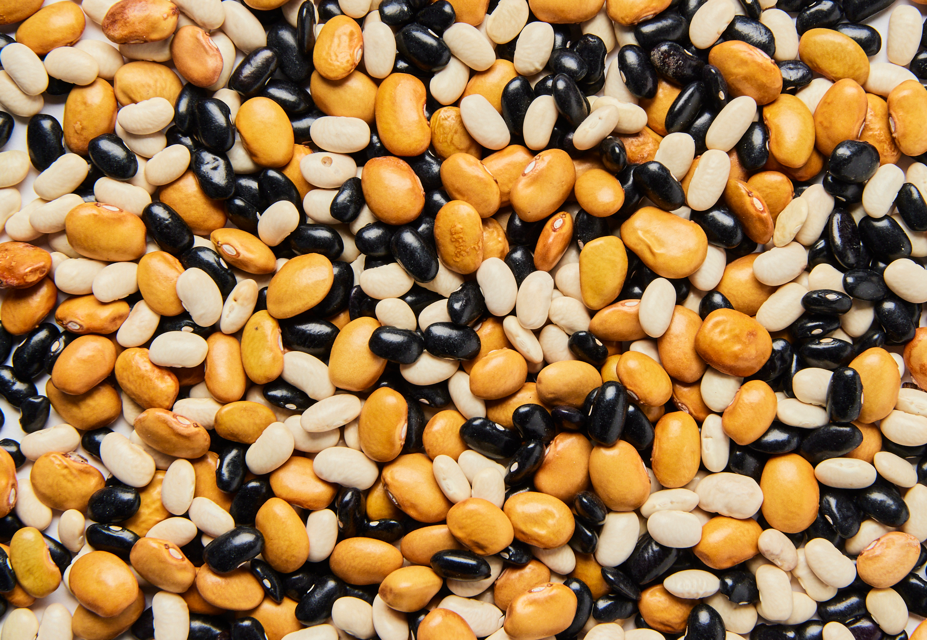 All About Heirloom Beans and How to Make The Perfect Pot – Masienda