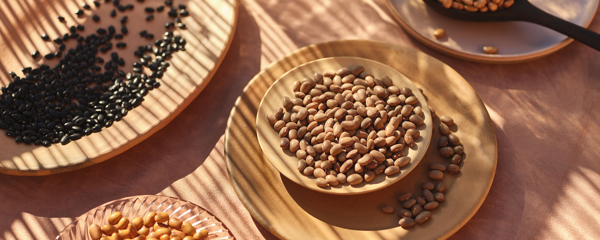 Heirloom Beans – Masienda