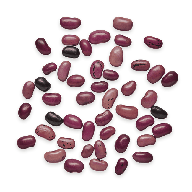 Heirloom Beans | Masienda Purple Ayocote Morado from Mexico