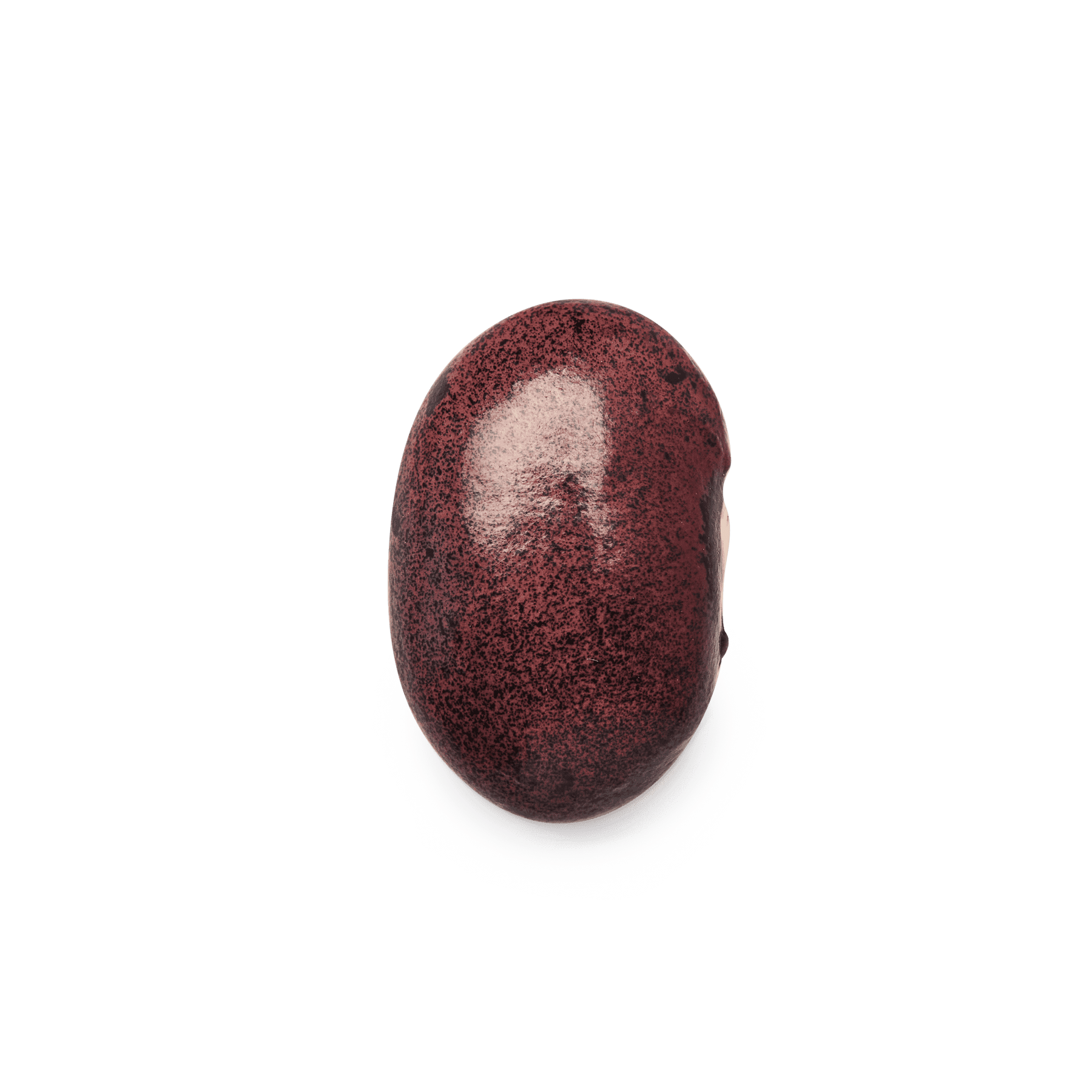 Heirloom Ayocote Pinto Beans | Masienda Mexican Beans