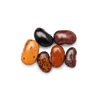 Heirloom Ayocote Pinto Beans | Masienda Mexican Beans