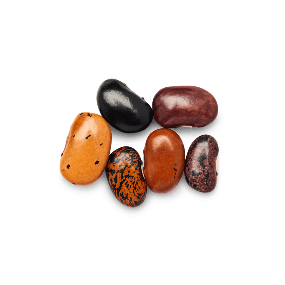 Heirloom Ayocote Pinto Beans | Masienda Mexican Beans